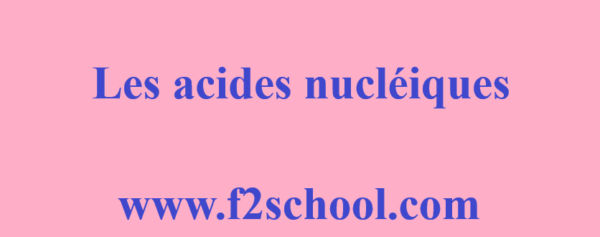 Acides nucléiques – Cours de Biologie - F2School